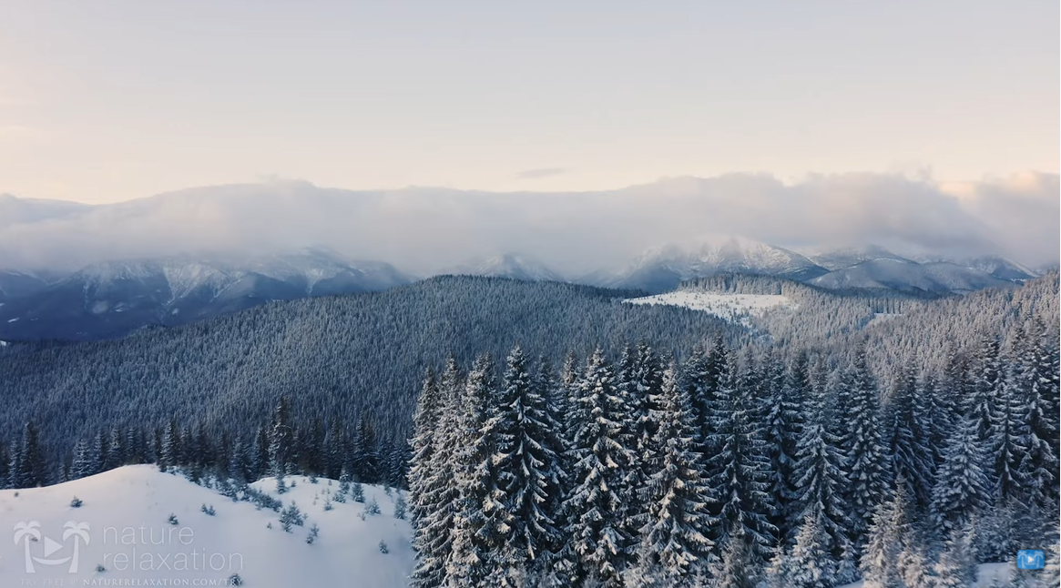 Winter Is Coming! 3 Quick Tips.